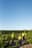About Our Timber Products - One Forty One