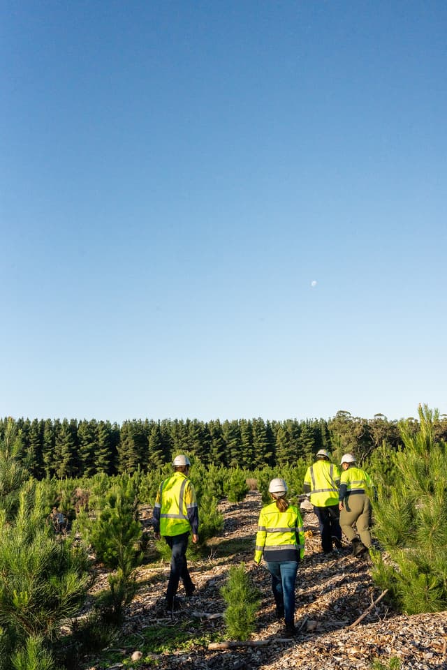 About Our Timber Products - One Forty One